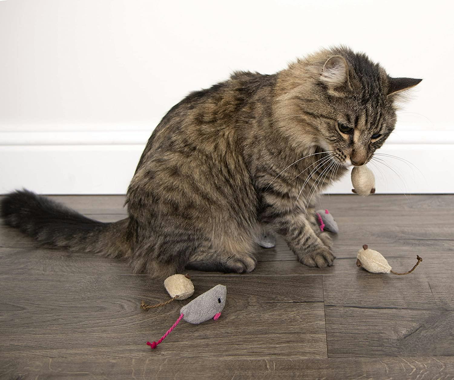 The 8 Best Cat Toys For Exercise