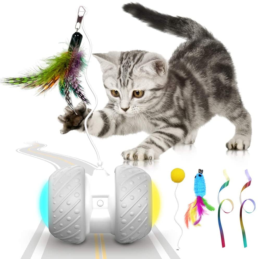 The 8 Best Cat Toys For Exercise