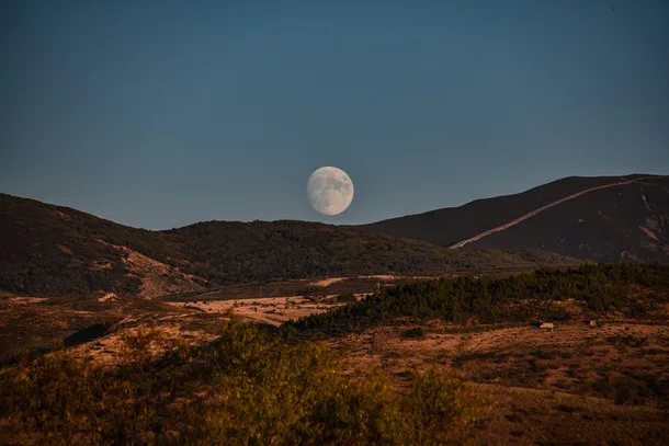 Your May 2020 New Moon Horoscope Is About Seeing All Perspectives