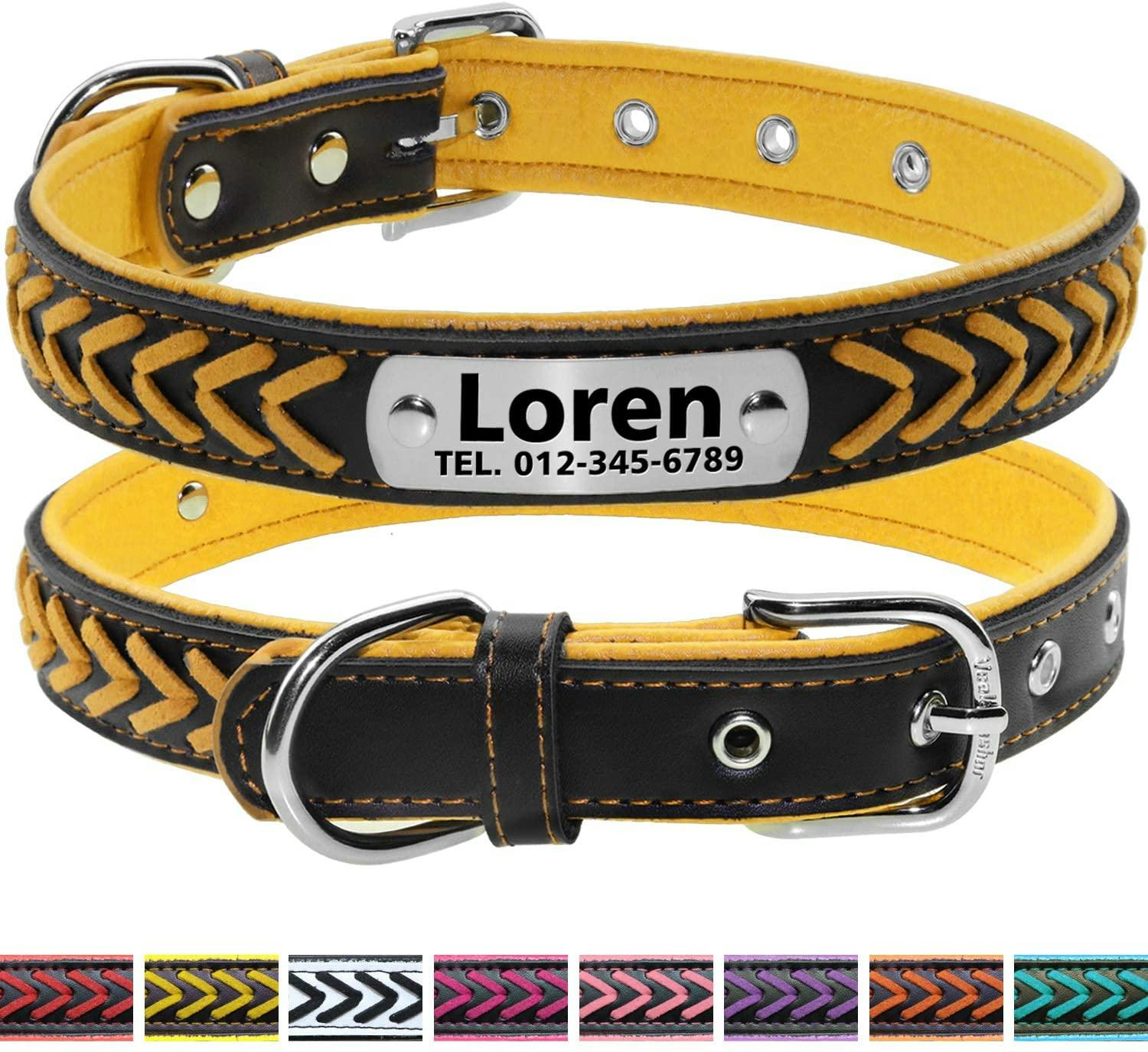 The 5 Best Personalized Dog Collars
