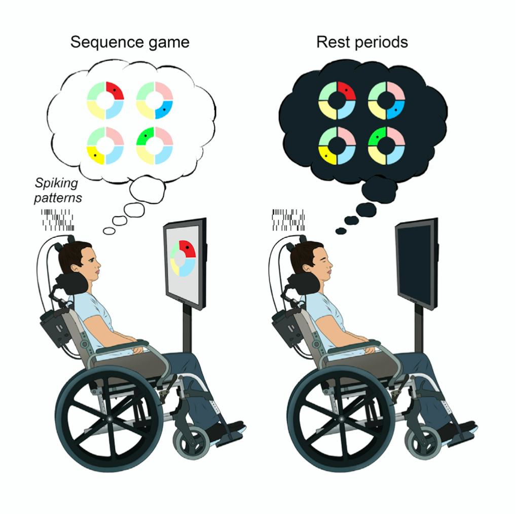 "Unprecedented" study reveals sleeping brains replay waking experiences