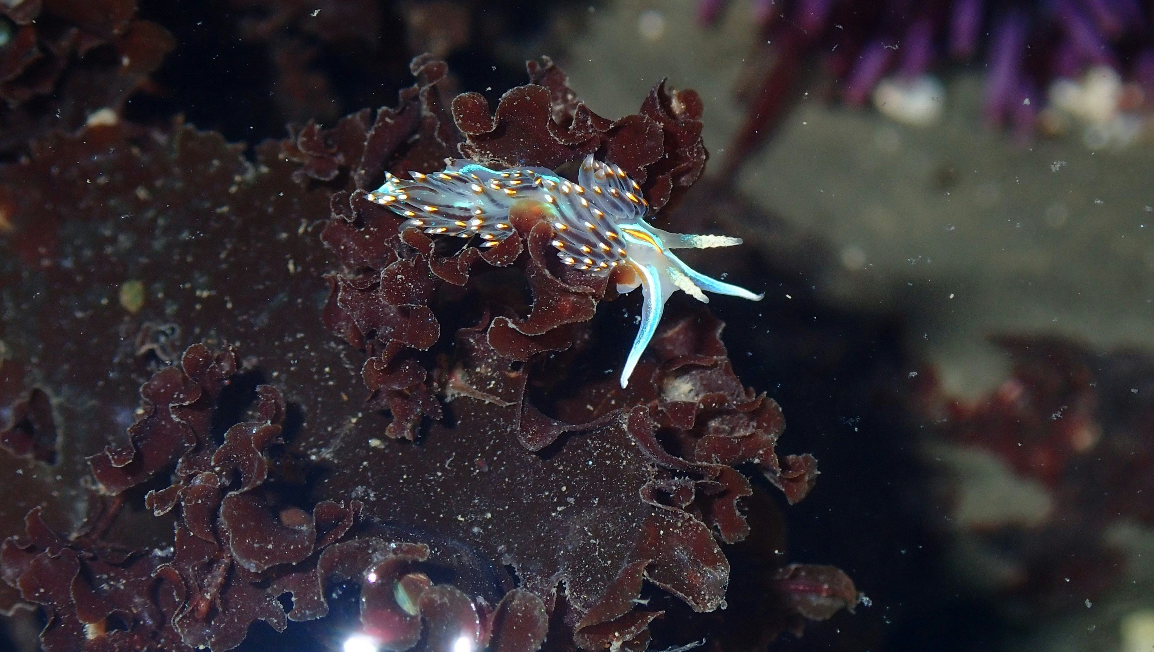 Amazing science photos of the week