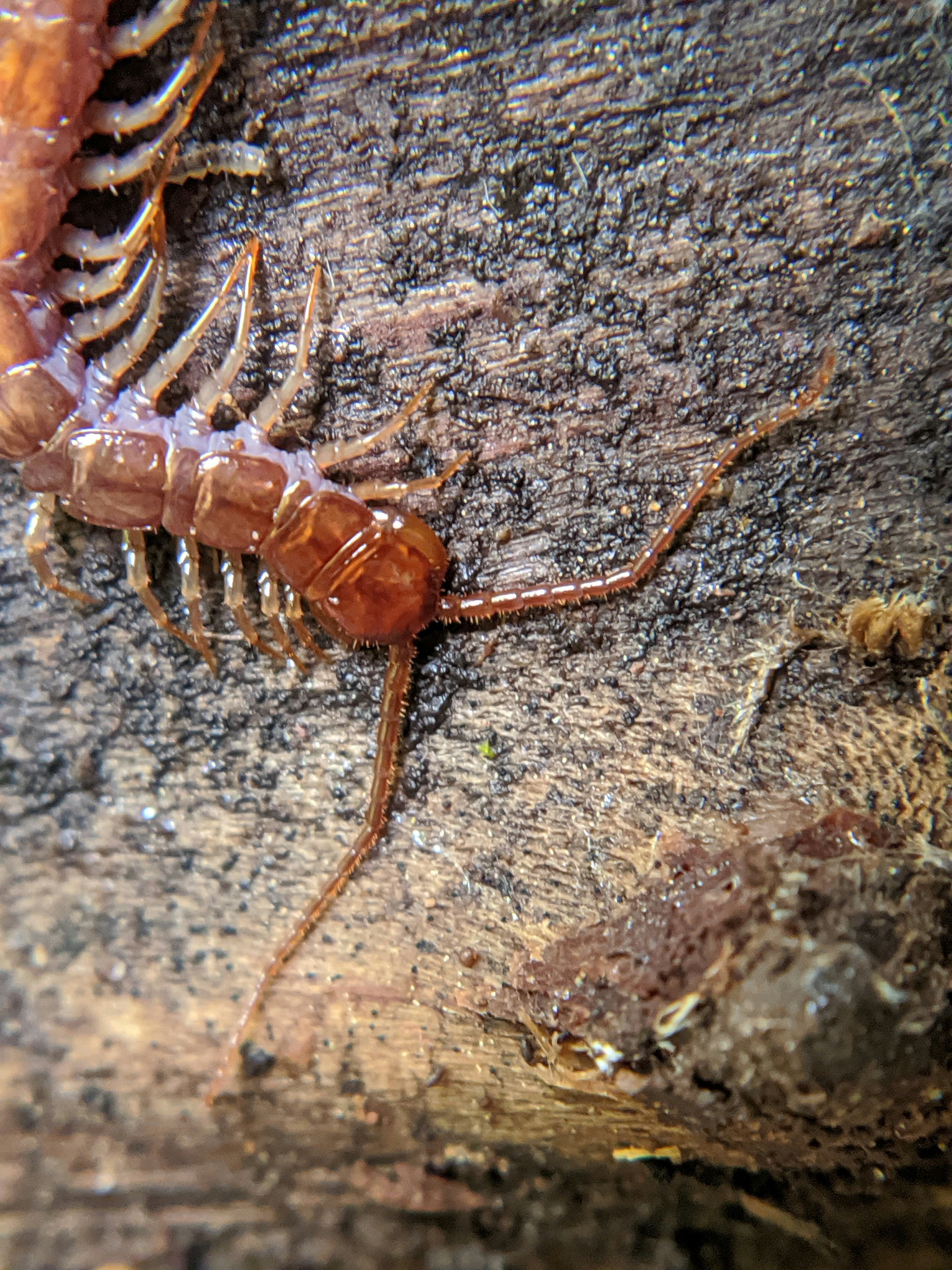 Amazing science photos of the week