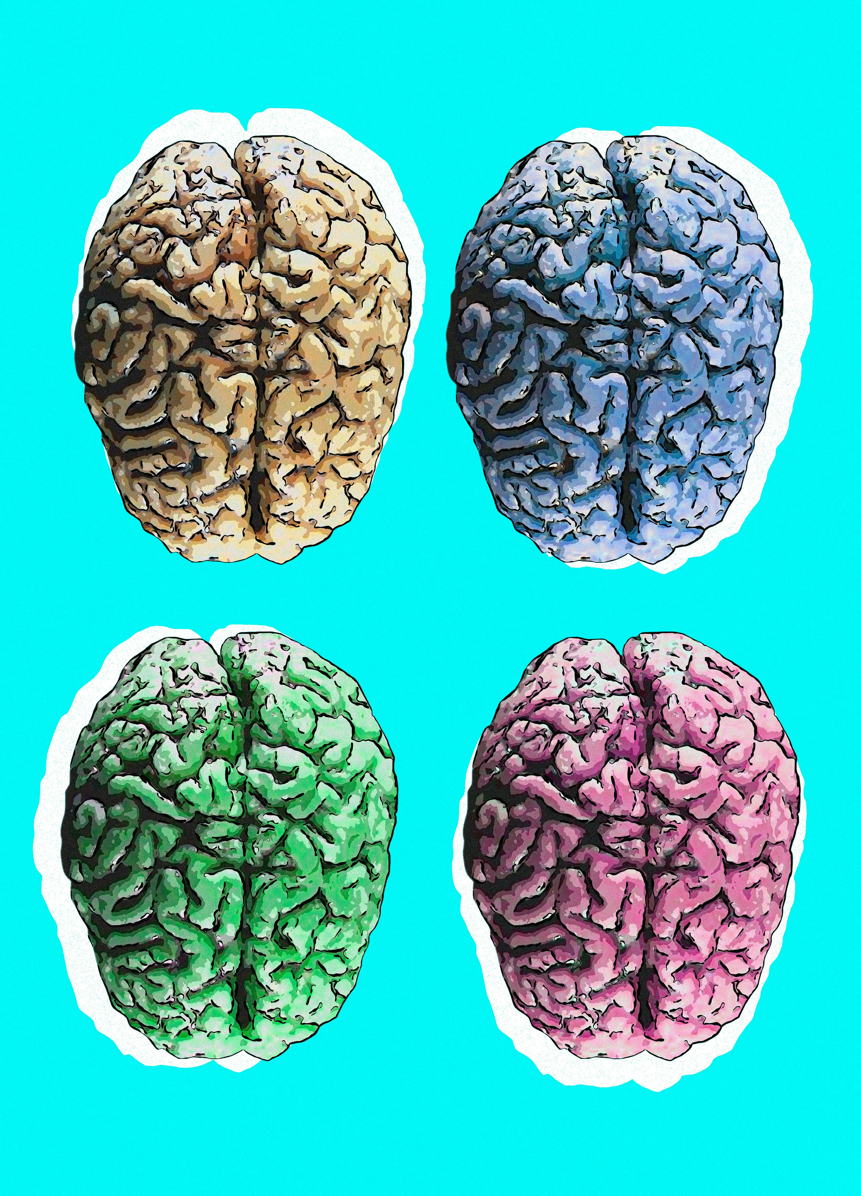 Studies show why your decisions must rely on the past