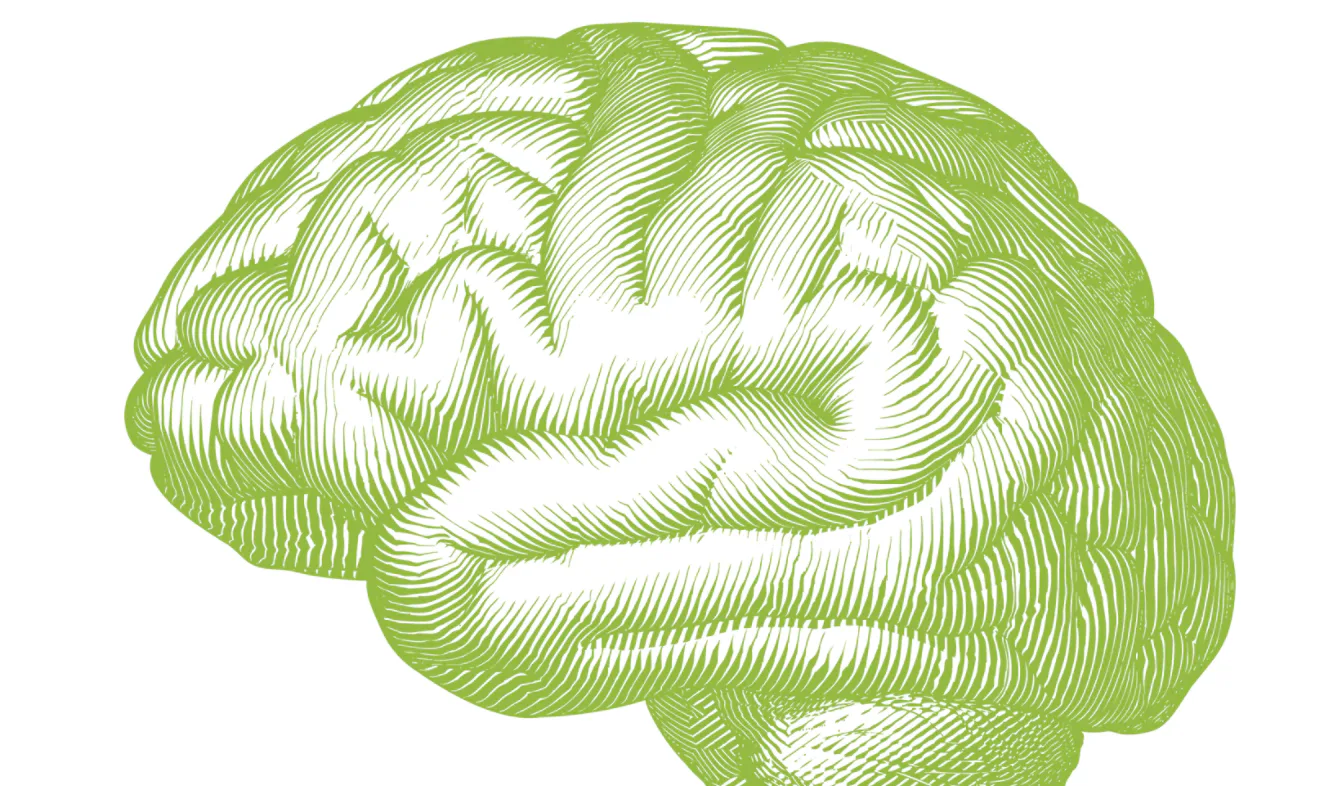 Cutting-edge research shows that making art benefits the brain