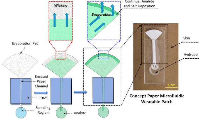 A single drop of sweat can reveal these 7 things about your health