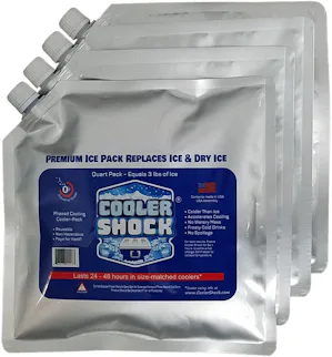 The 6 Best Cooler Ice Packs