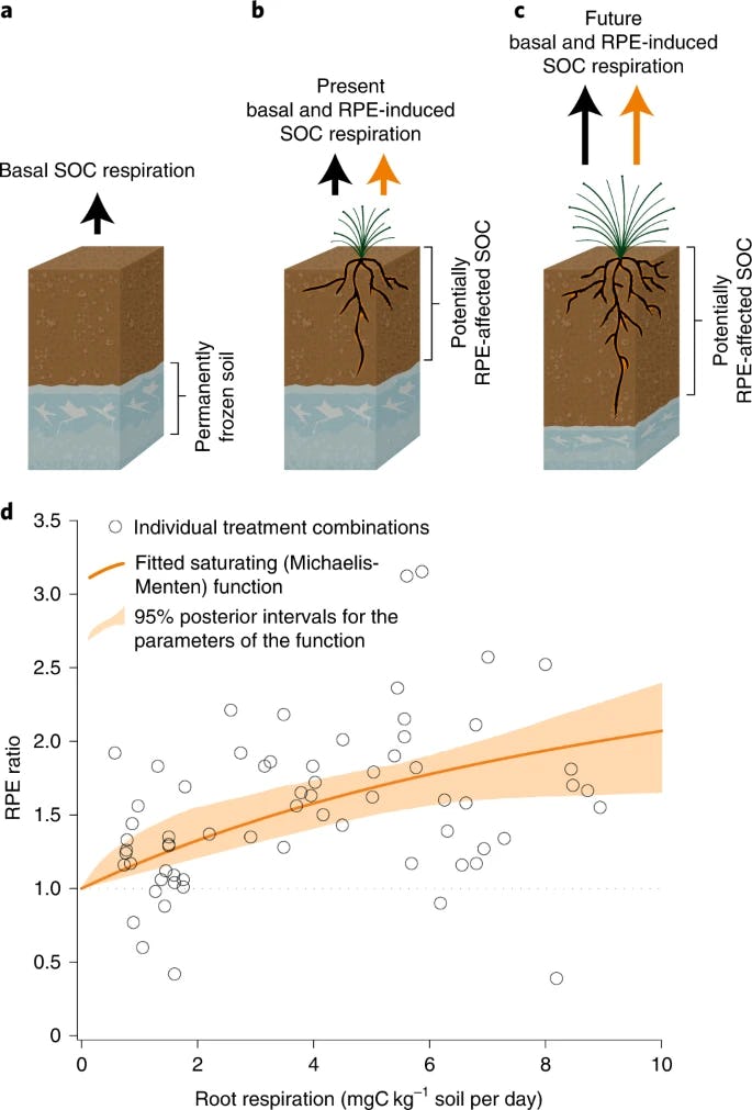 Melting permafrost linked to impending environmental disaster — study