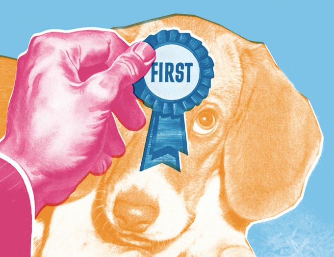 Magnetic field study reveals dogs know a secret trick