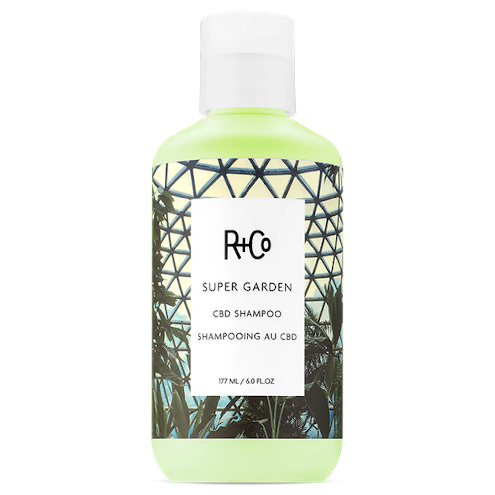 13 Best Shampoos For A Dry, Itchy Scalp