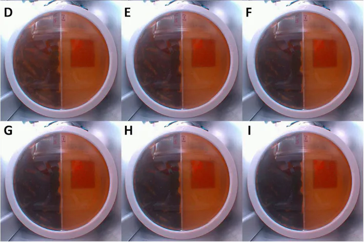 Radiation-absorbing mold could help get humans to Mars unscathed