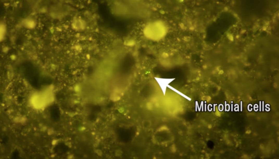 Ancient microbes in the "deadest" part of Earth redefine boundaries of life