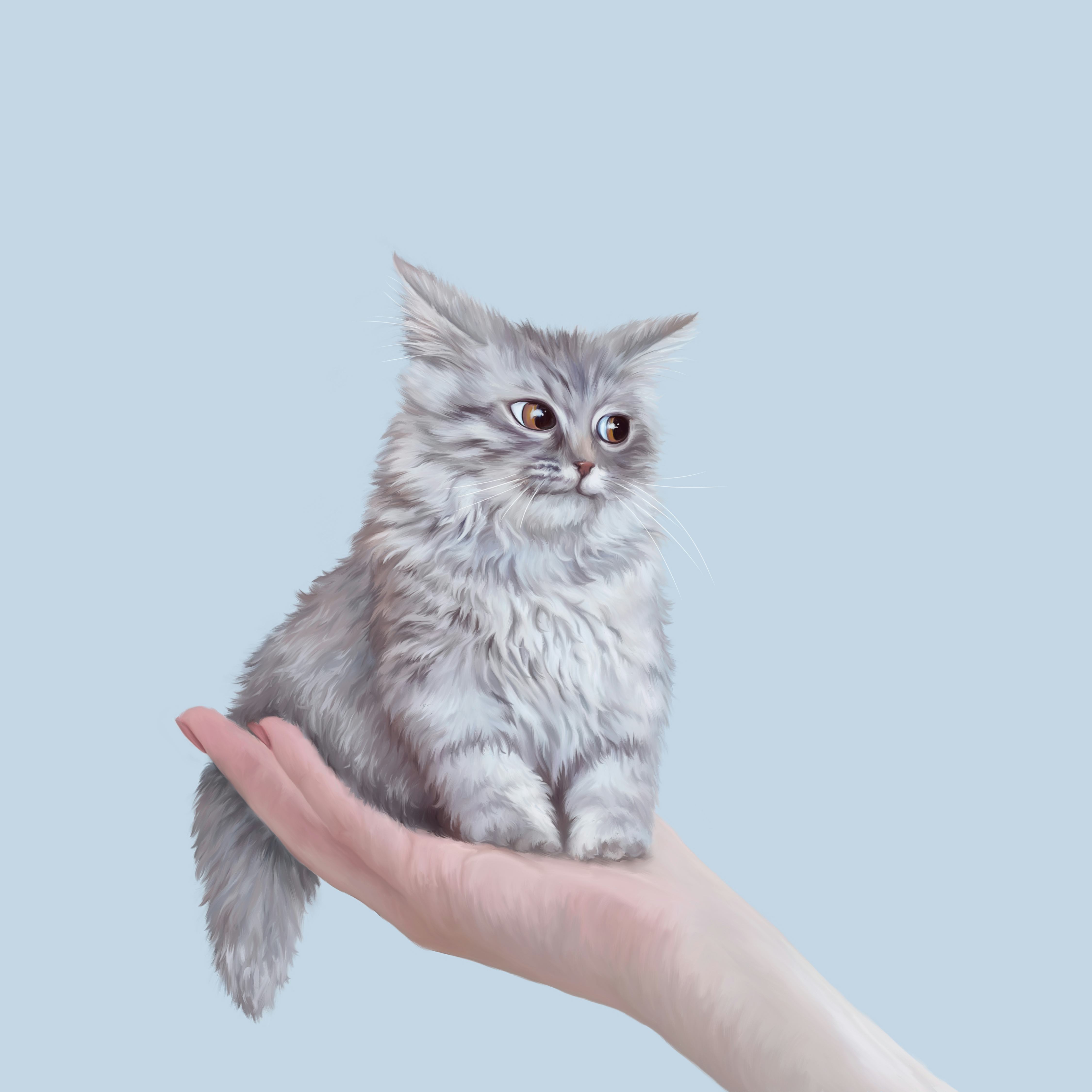 Why most people infected with a cat-linked brain parasite don't get ...