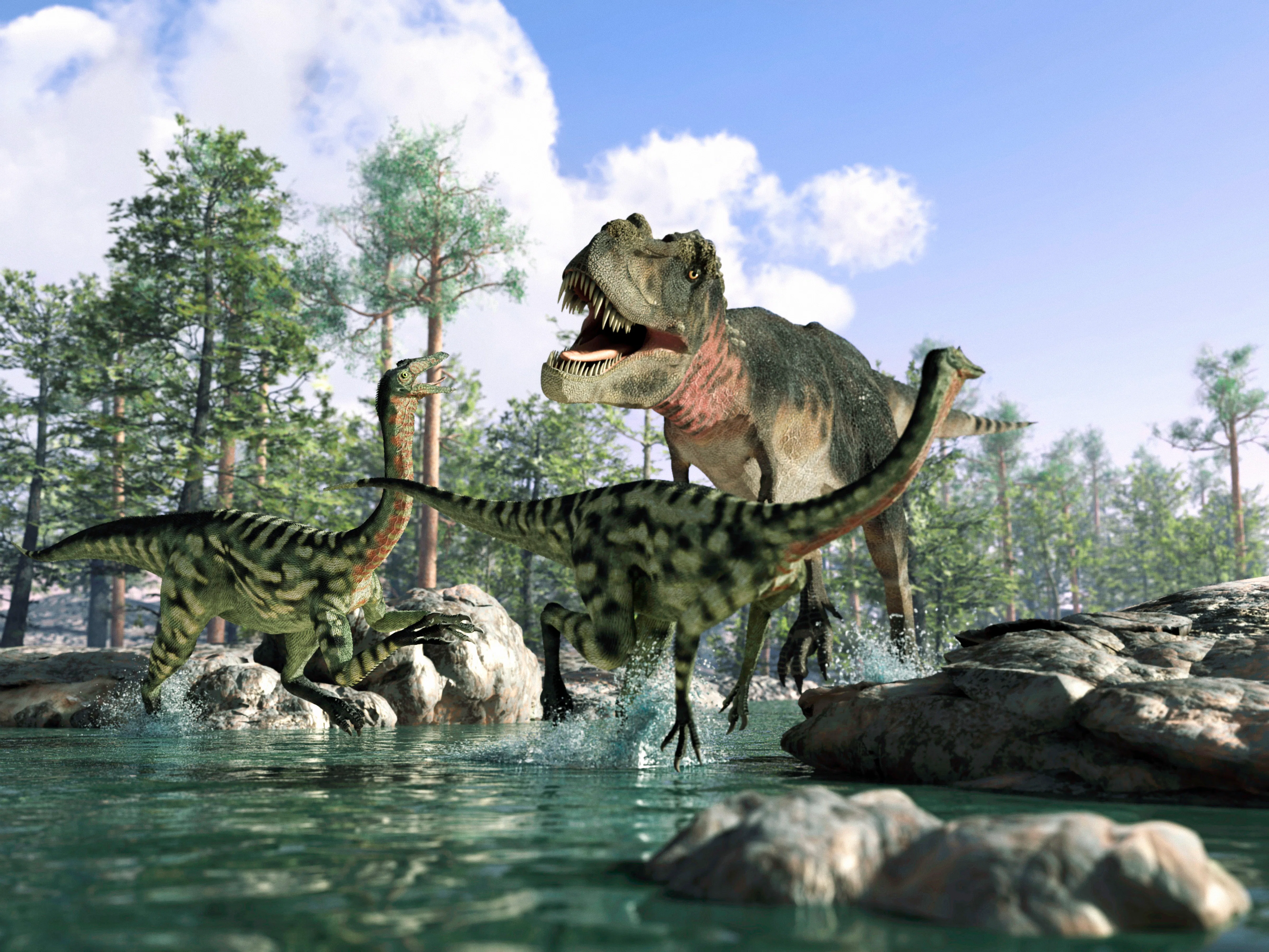 6 of nature's smallest dinosaurs