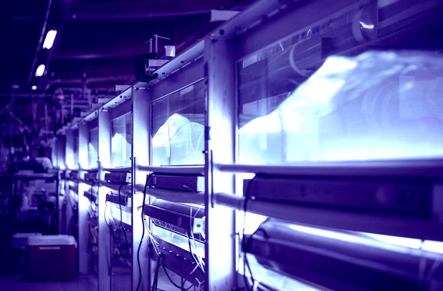 'Ocean-in-a-lab' shows the power of tiny climate change fighters