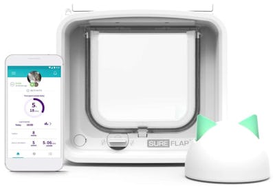 The 3 Best Microchip Cat Doors