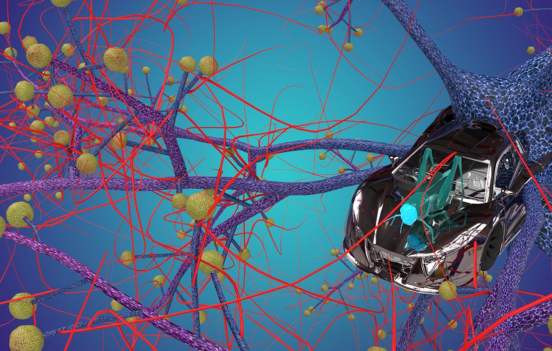 A biblical plague insect could help create the future of self-driving cars