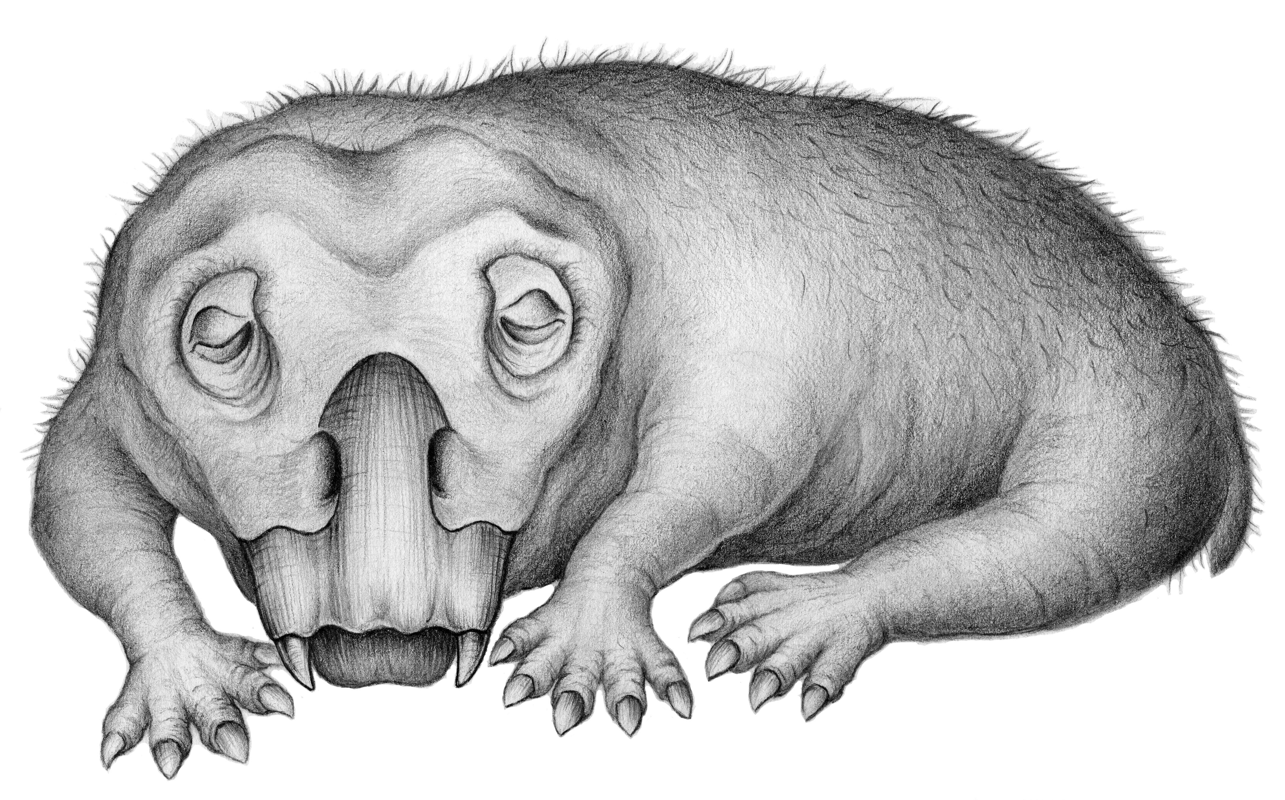250-million-year-old fossil reveals hibernation's ancient history