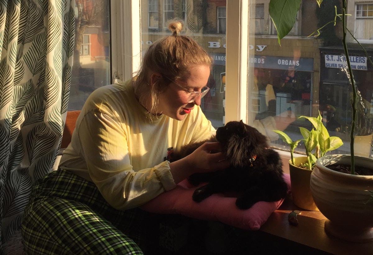 How Lockdown Turned Me Into A Cat Lady