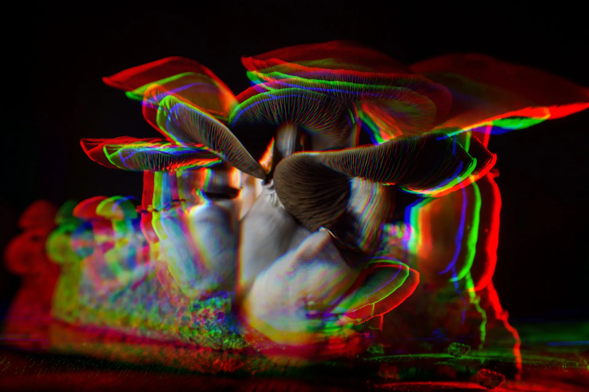 Cancer patients say psilocybin can be both therapy and 'a beautiful ...