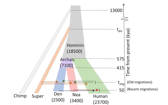 Ancient humans had extremely complicated sex lives, evidence shows