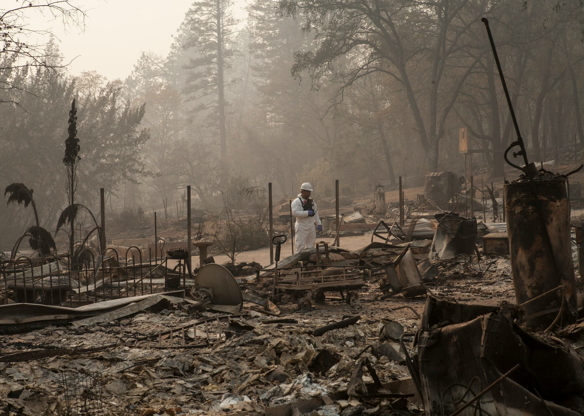 Water contamination after wildfires — what the public should know