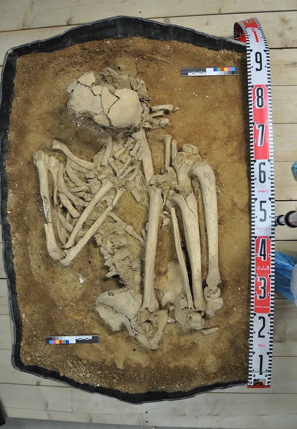 40,000-year-old bone reveals East Asia's ancient history
