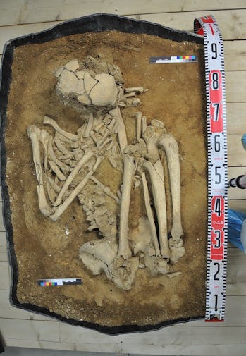 40,000-year-old bone reveals East Asia's ancient history