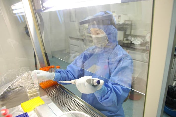 40,000-year-old bone reveals East Asia's ancient history