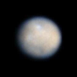 Is dwarf planet Ceres potentially habitable?