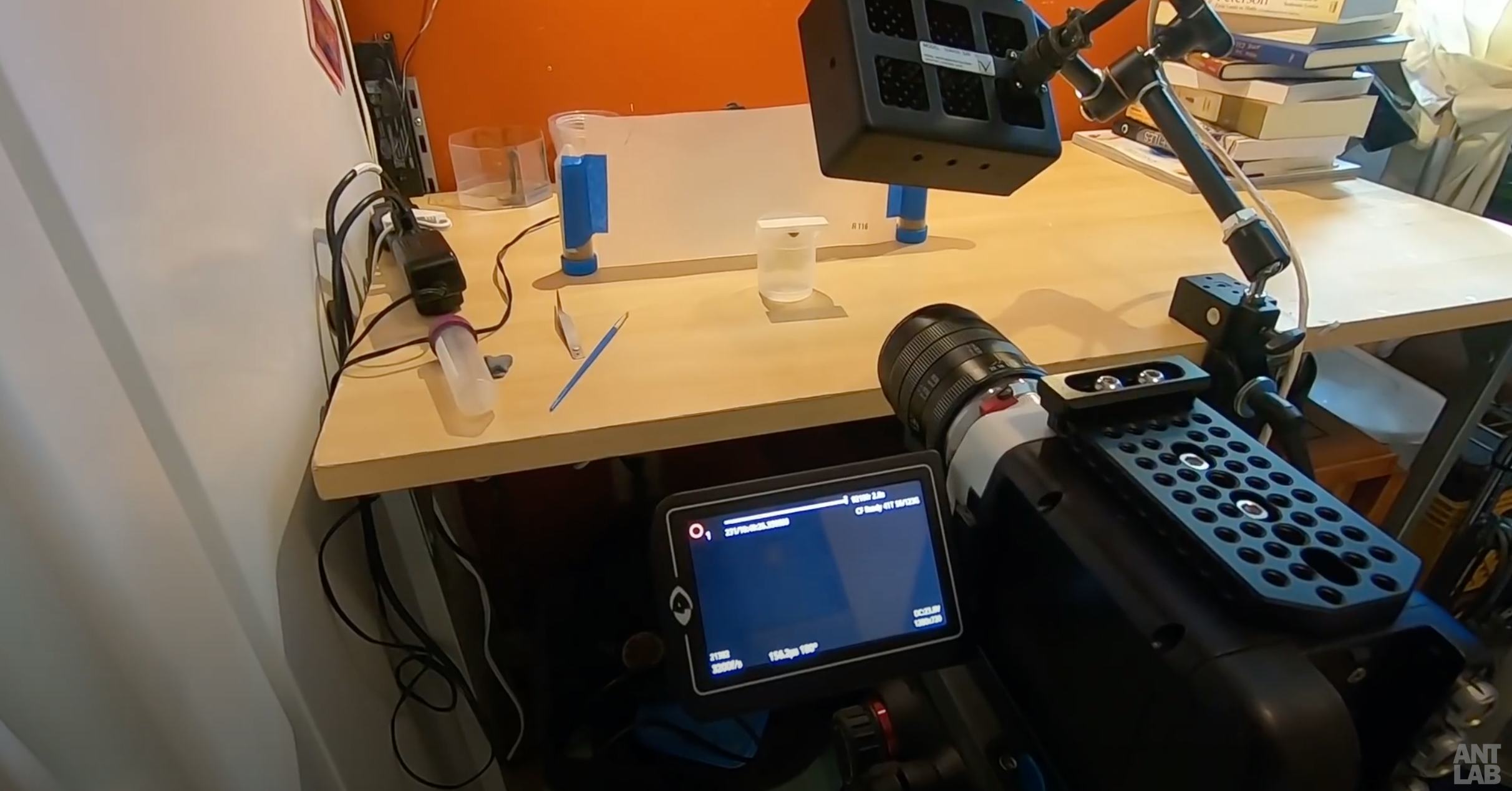 See the magic of insects taking flight at 3,200 FPS