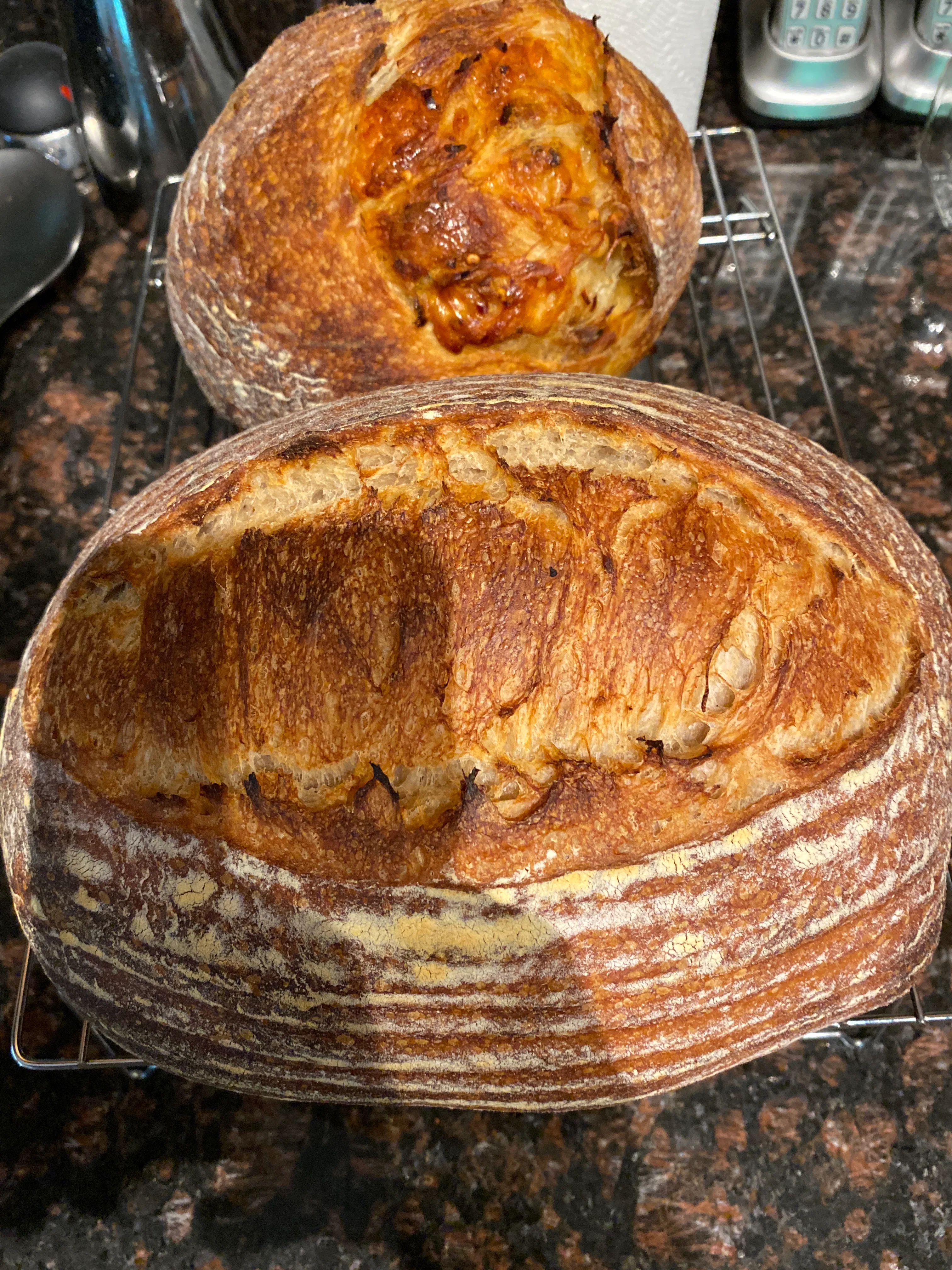 Mastering sourdough with the science of yeast