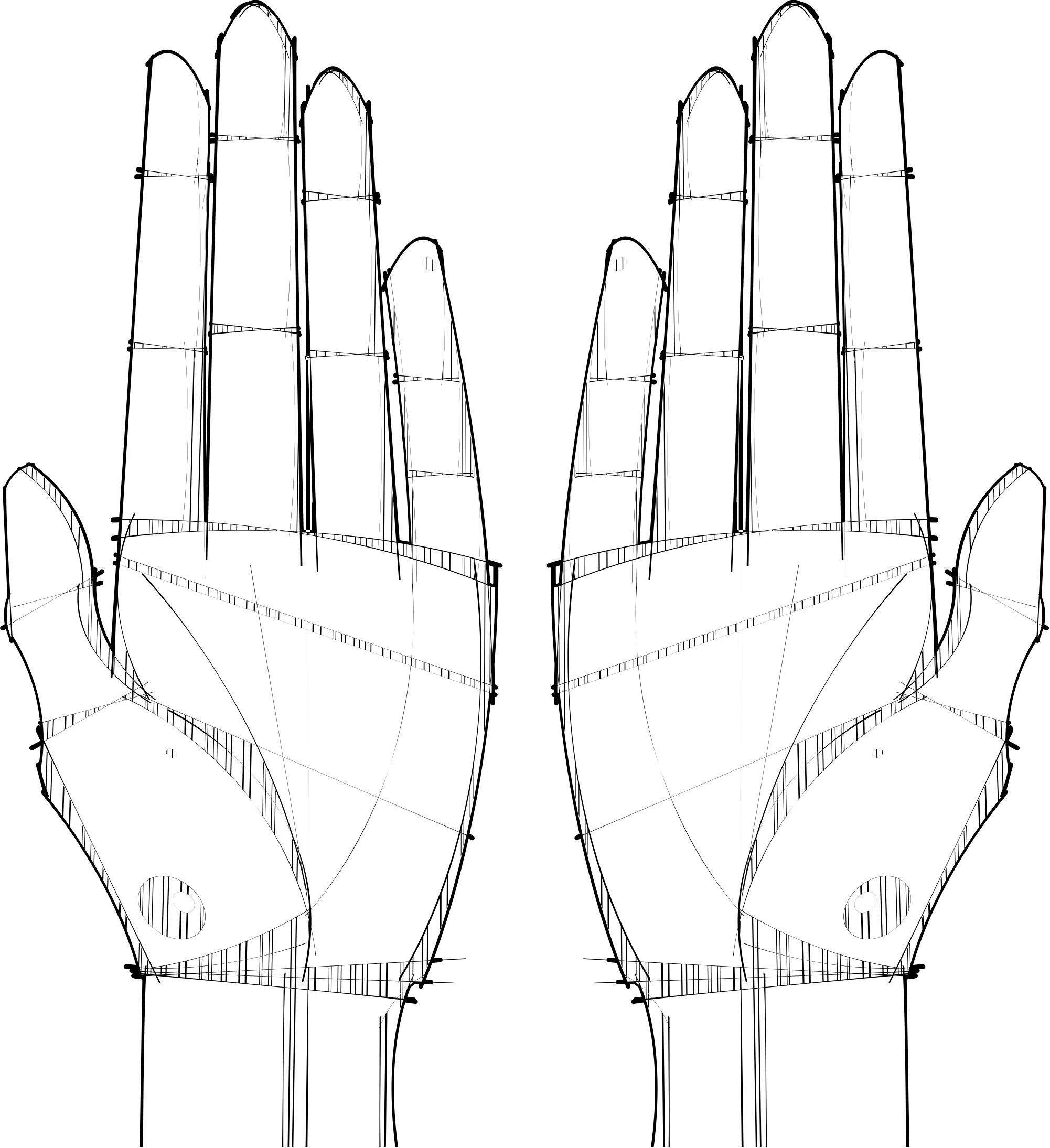 DNA study of 1.7 million people reveals why some people are left-handed