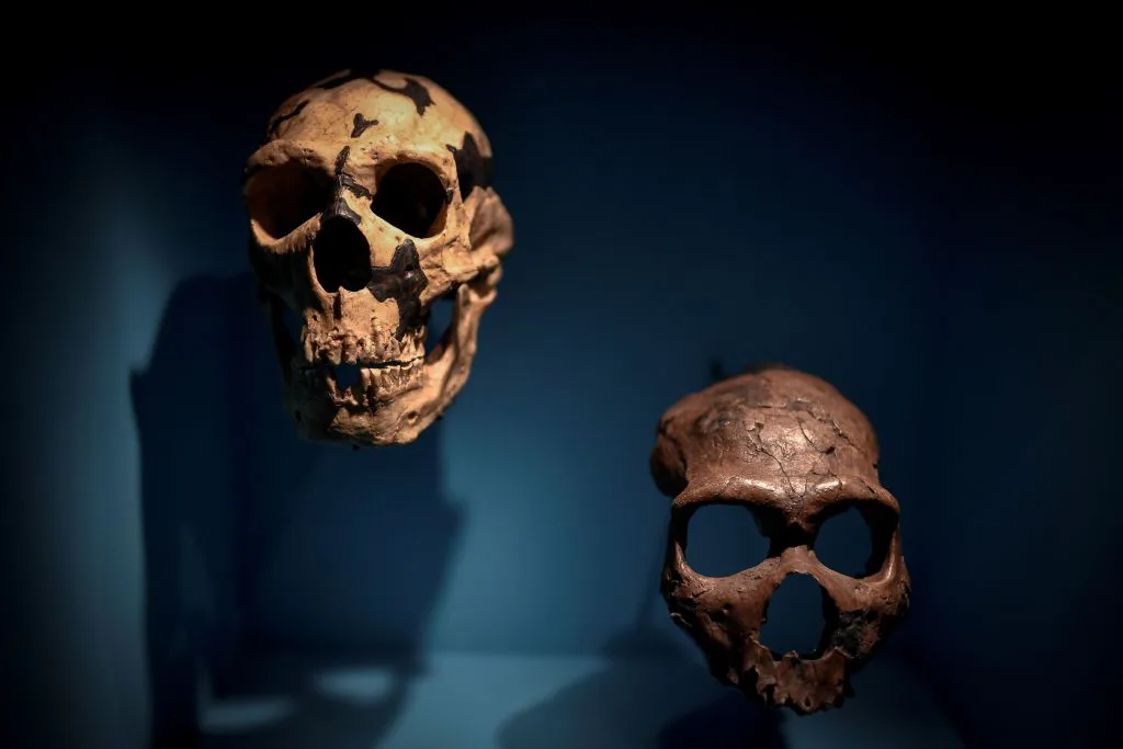 Covid-19 genetics may be linked to an ancient human species