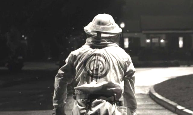 'WandaVision' beekeeper may have spoiled the Marvel show's biggest twist