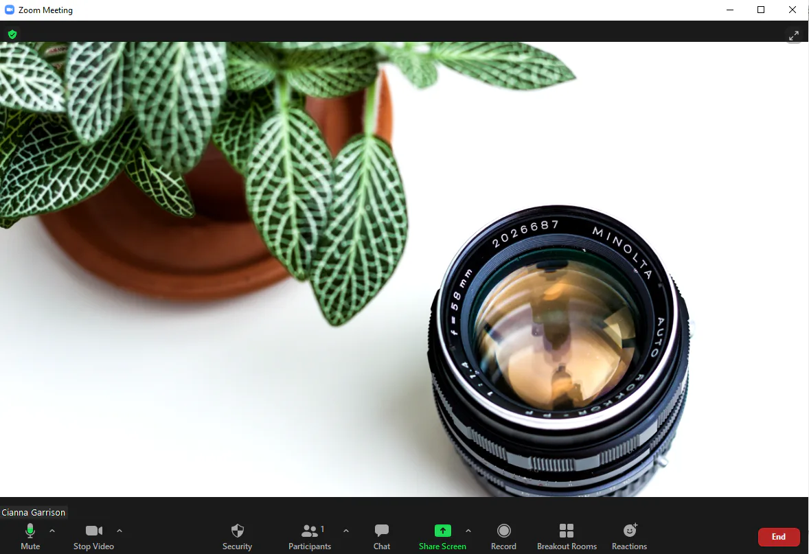 These 17 Simple Zoom Backgrounds Will Help You Refresh Your Video Chat Vibe