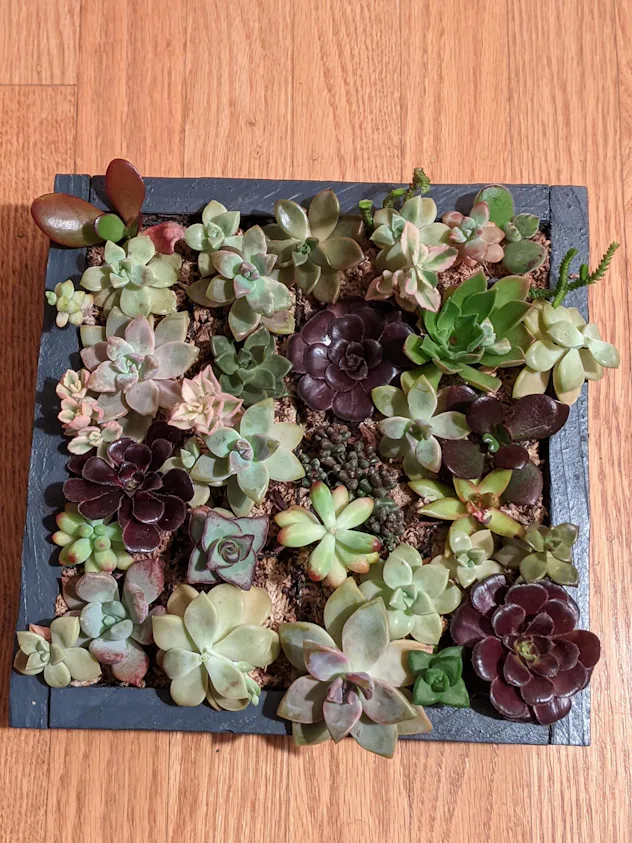 The Best DIY Crafts & Projects Based On Your Myers-Briggs Personality Type