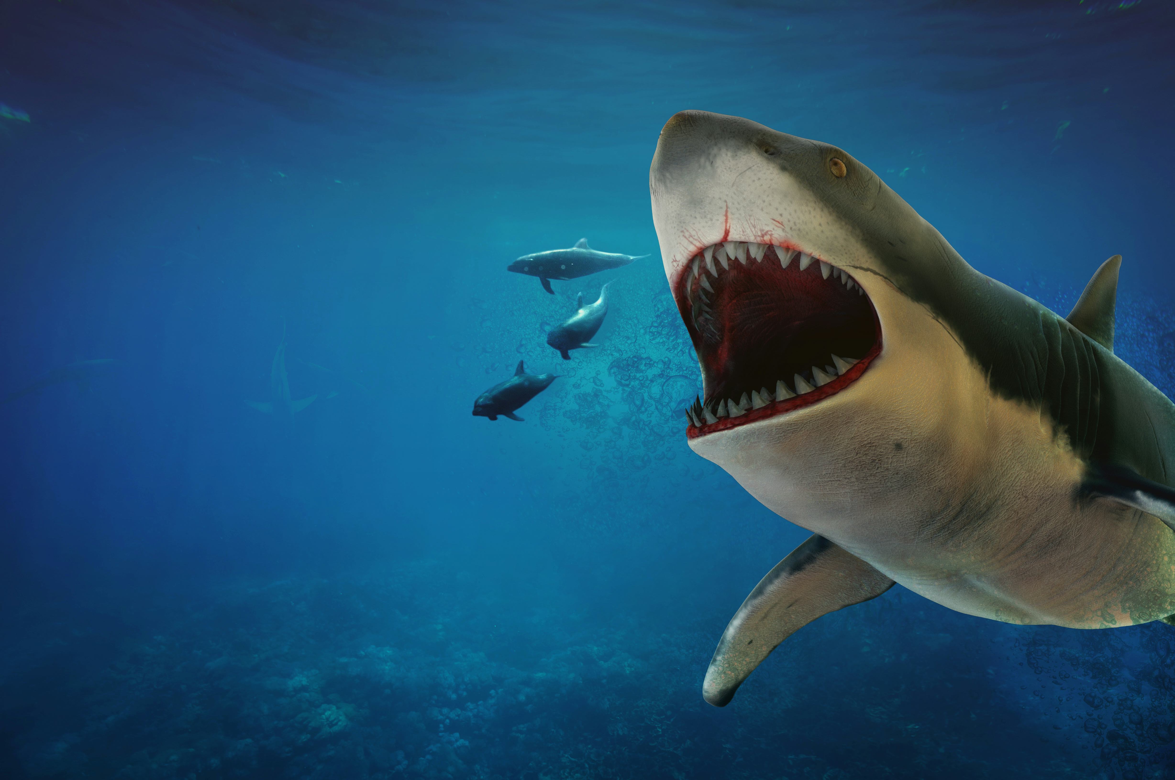 Megalodon: This ancient predator gave birth to babies the size of adult ...