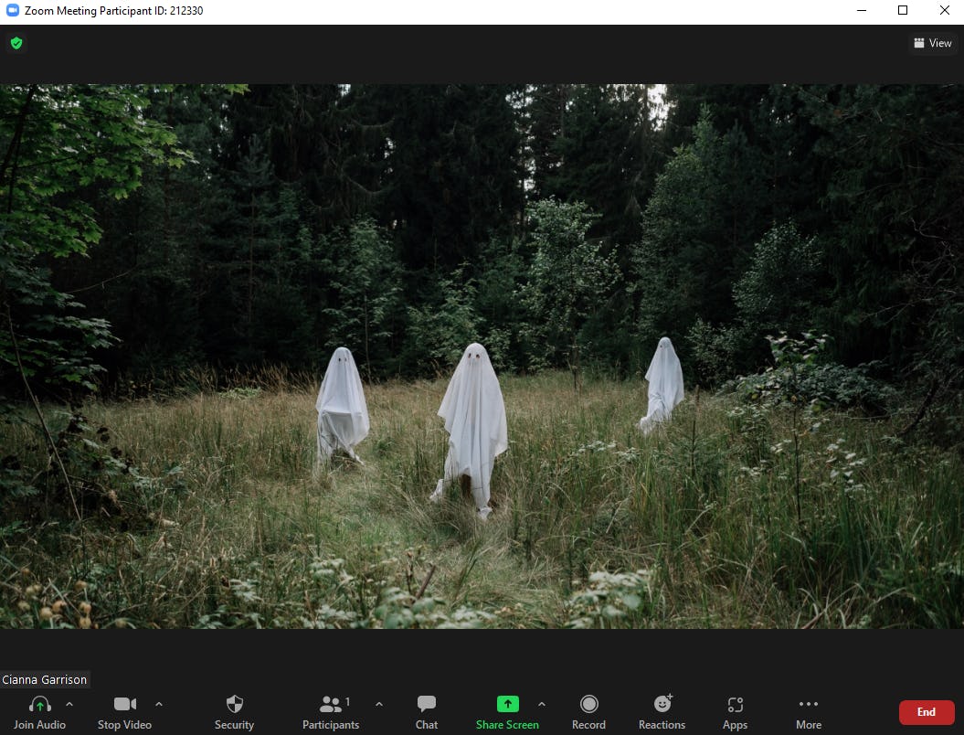 25 Scary Halloween Zoom Backgrounds Include Creepy Haunted Houses