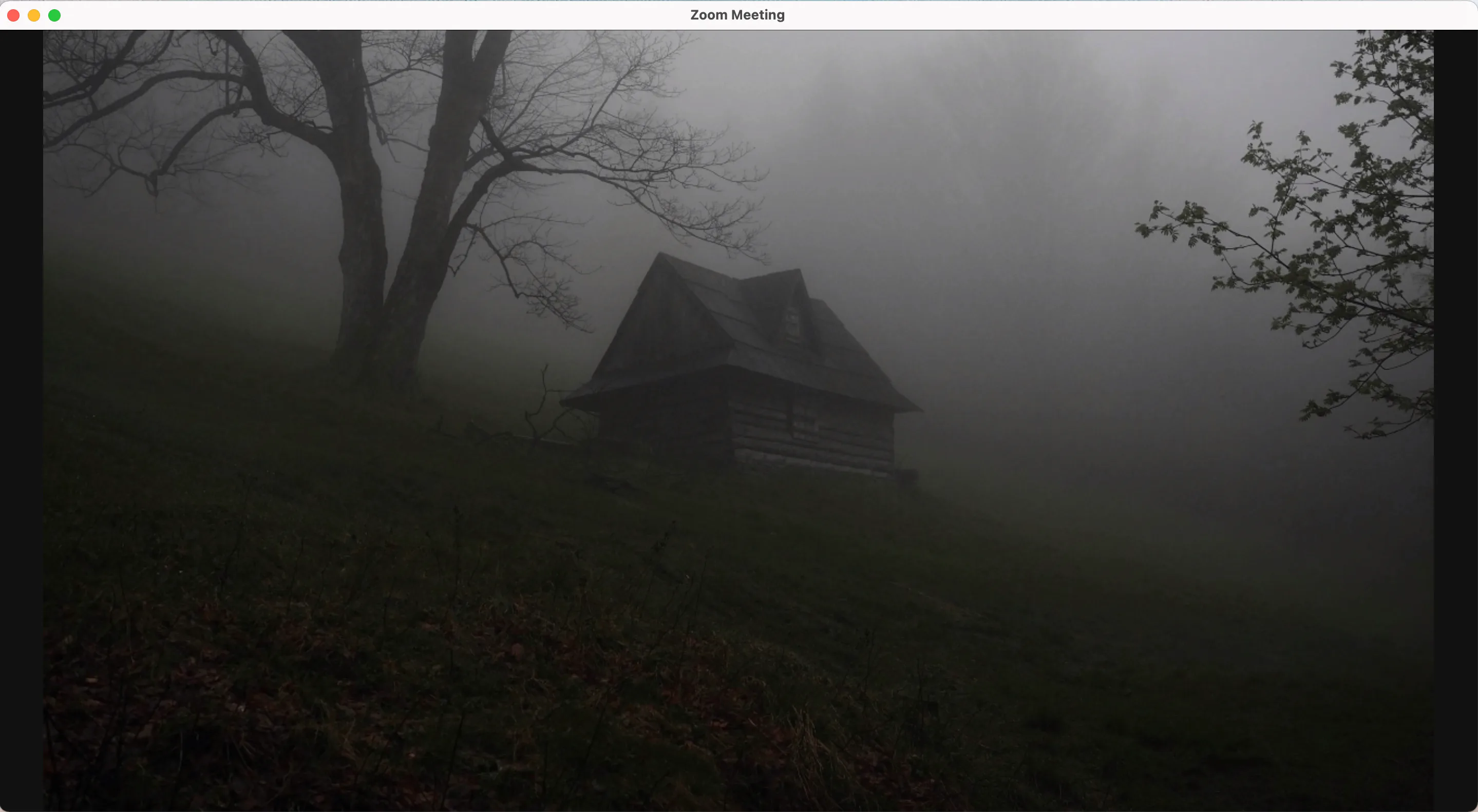 19 Haunted House Zoom Backgrounds That'll Transport You To A Spooky Scene