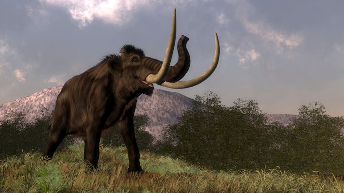 5 times scientists actually revived the living dead