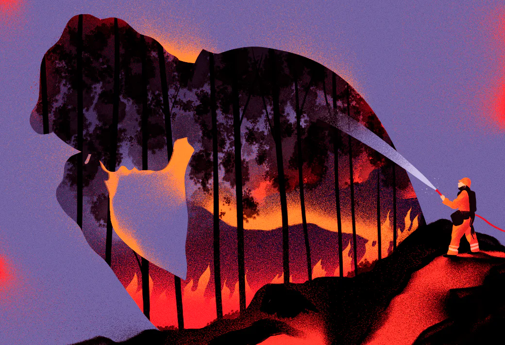 In wildfire country, PTSD dominates burned-out communities: “Nothing ...