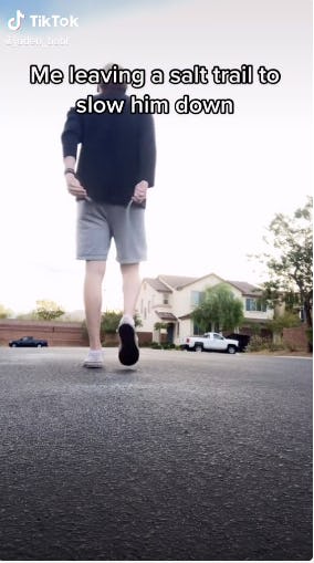 What Is The Snail Meme On TikTok? This Trend Has A History