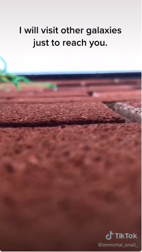 What Is The Snail Meme On TikTok? This Trend Has A History