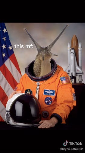 What Is The Snail Meme On TikTok? This Trend Has A History
