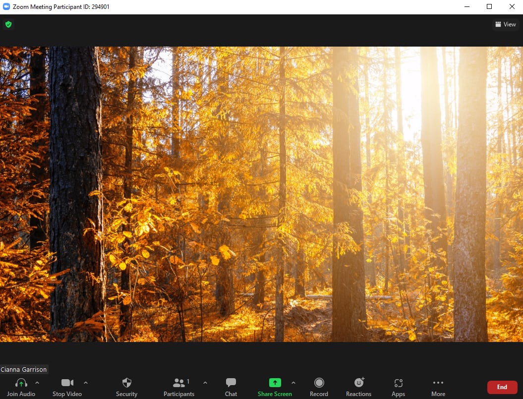 25 Fall Zoom Backgrounds For Autumnal AF Video Calls