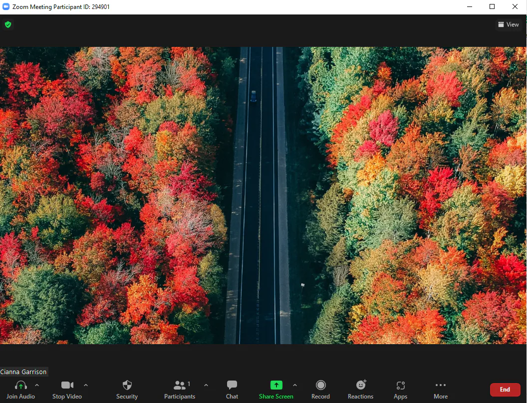 25 Fall Zoom Backgrounds For Autumnal AF Video Calls