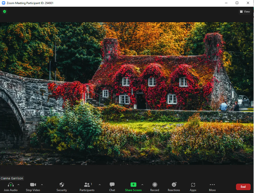 25 Fall Zoom Backgrounds For Autumnal AF Video Calls