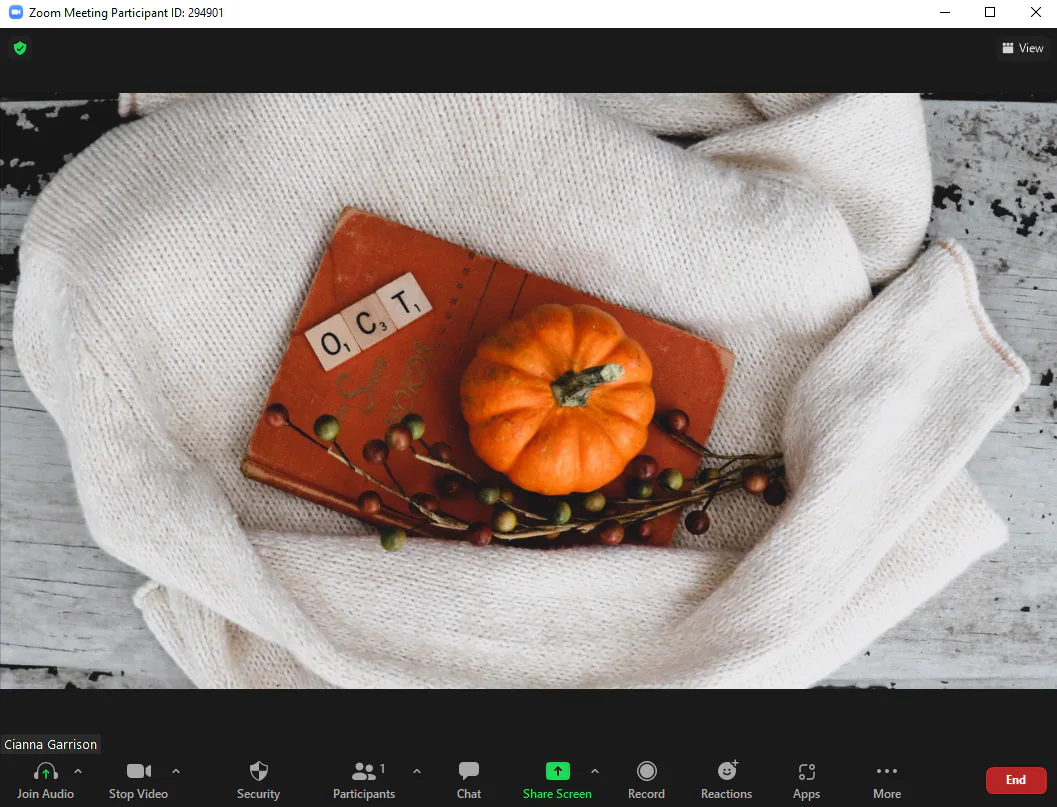 25 Fall Zoom Backgrounds For Autumnal AF Video Calls