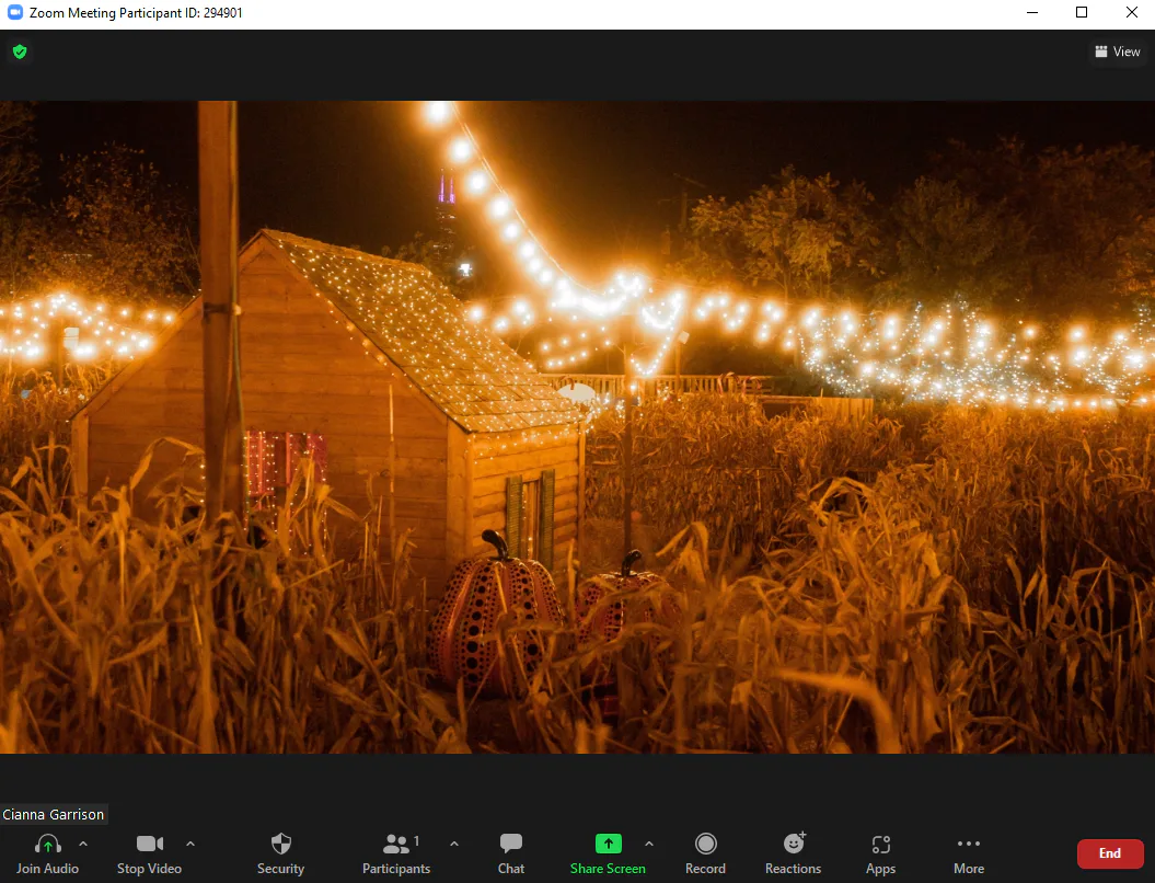 25 Fall Zoom Backgrounds For Autumnal AF Video Calls